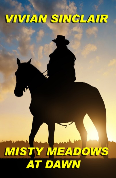 Vivian Sinclair Books